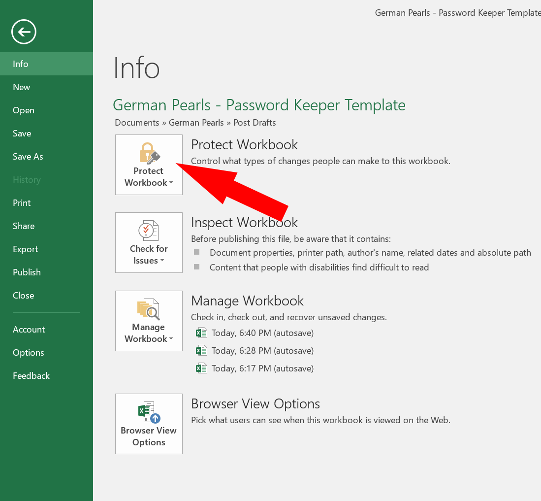 How to Use Excel as a Password Keeper (Free Template) - German Pearls